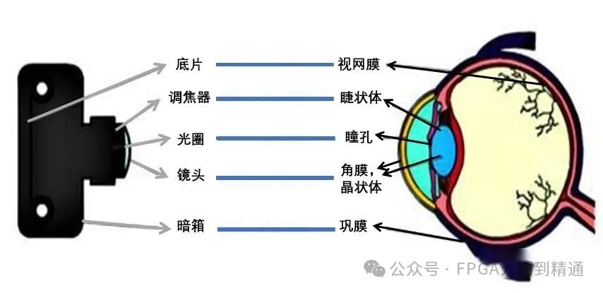 3分钟 快速了解 ISP图像处理 | FPGA 开发圈
